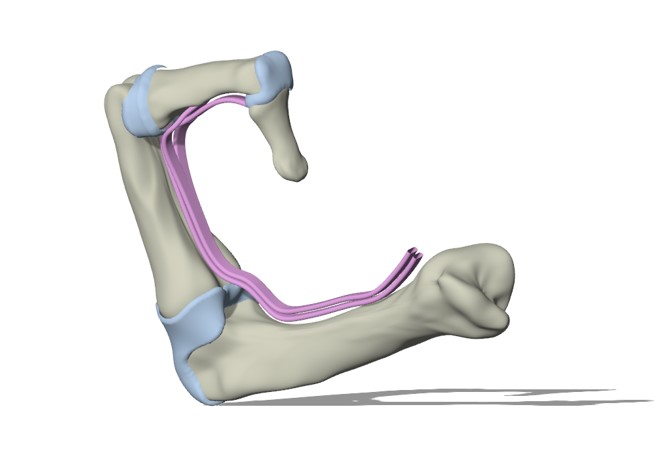 Technologies - astrabionics